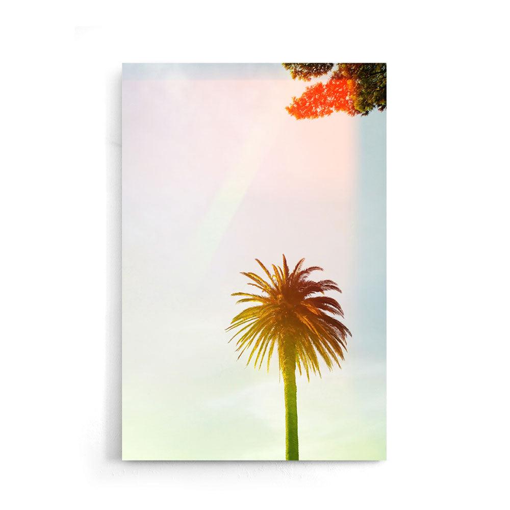 Palmboom poster van Analoog Film Palmbomen II kopen | Walljar.com