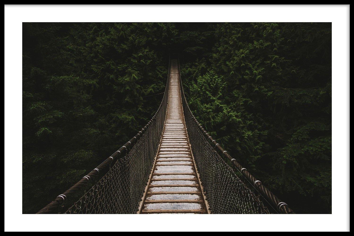 Forest poster of Brug In Het Woud order online | walljar.com