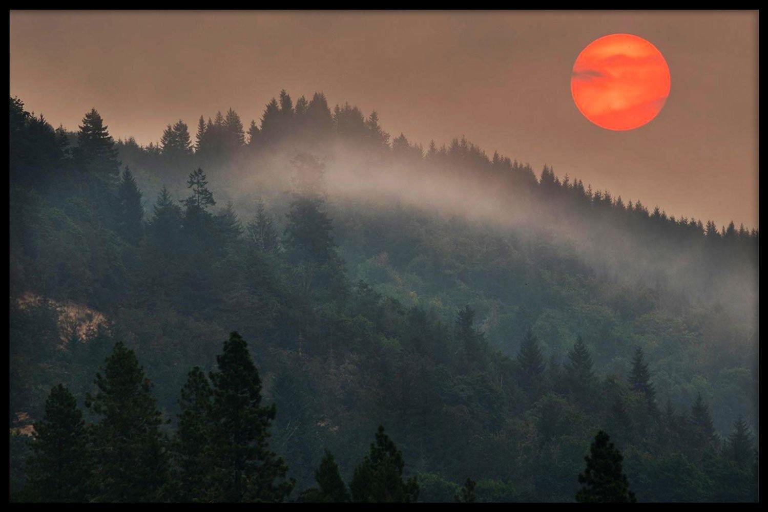 Buy painting nature by Jones Fire | walljar.com