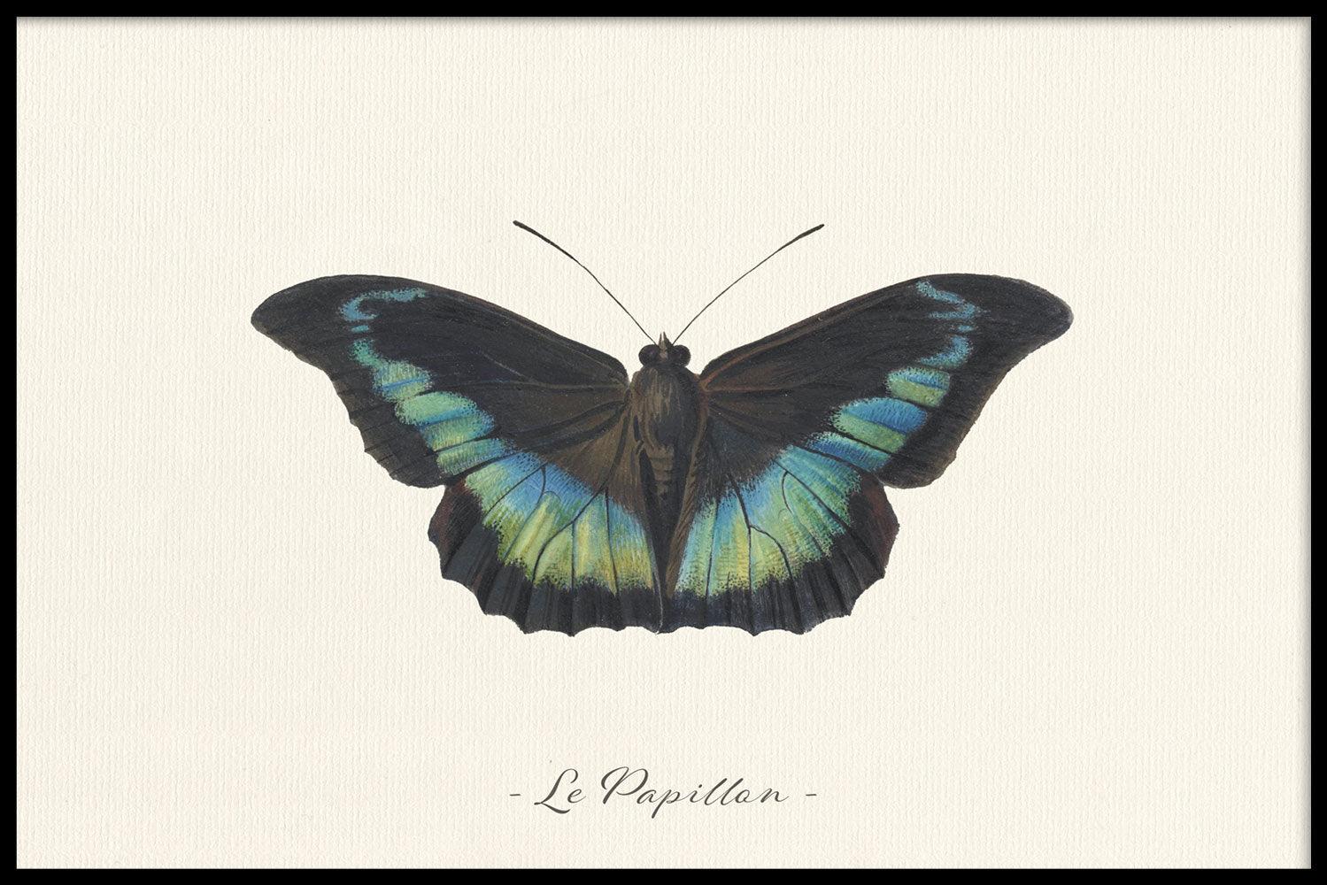 Bestel de dieren poster van Le Papillon online | Walljar.com