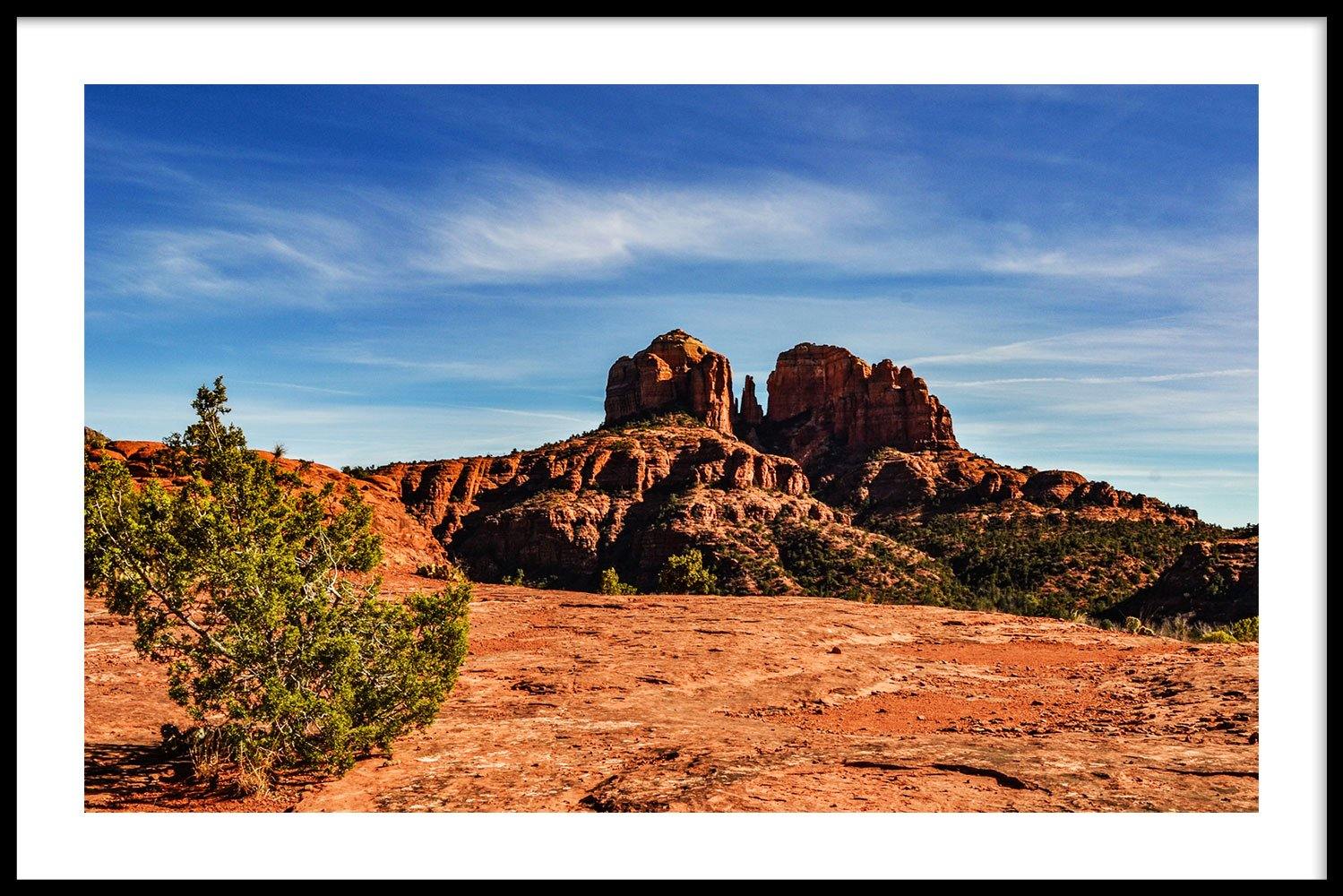 Buy painting nature from Red Rocks | walljar.com