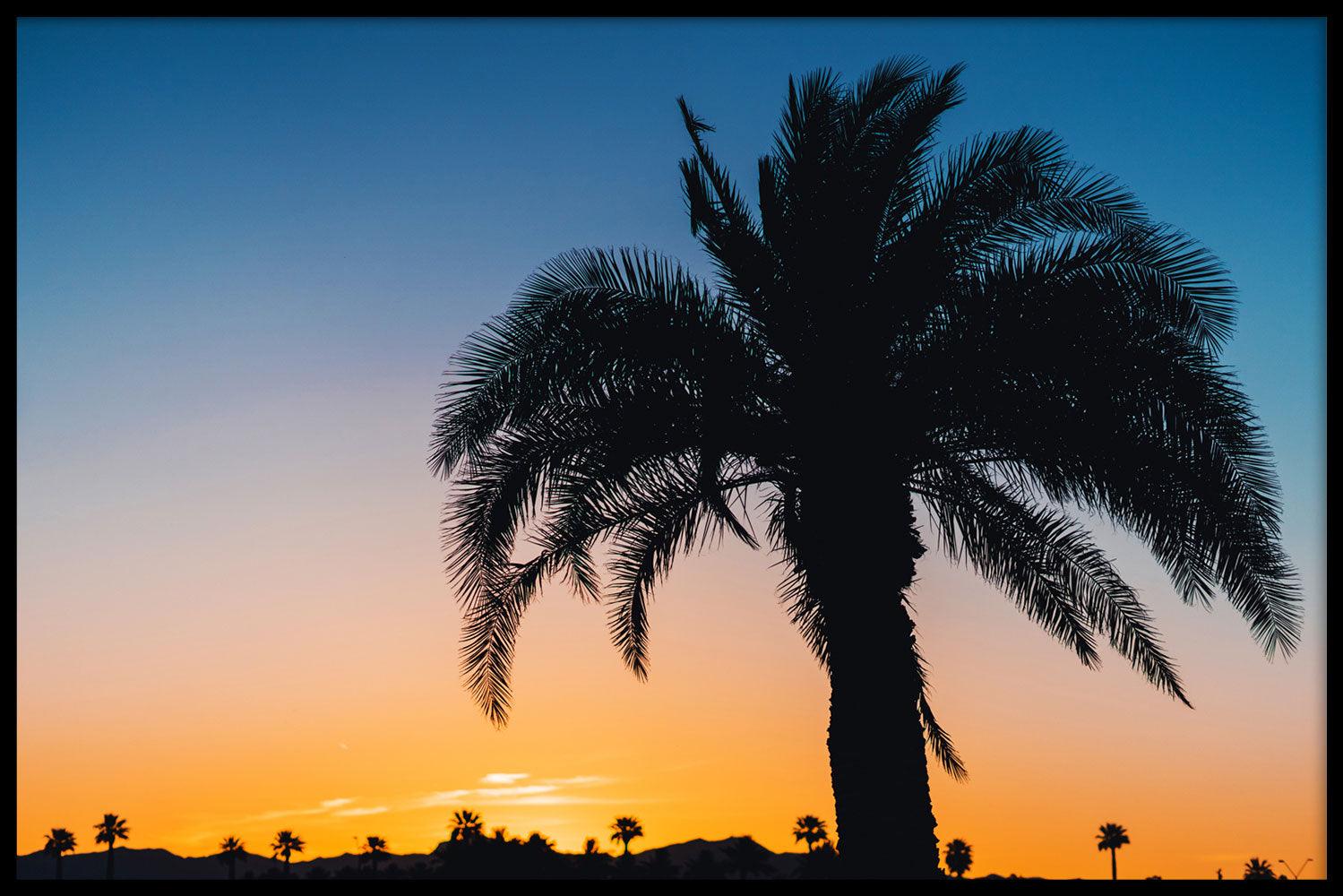 Palmboom poster van Silhouet Palmbomen II kopen | Walljar.com